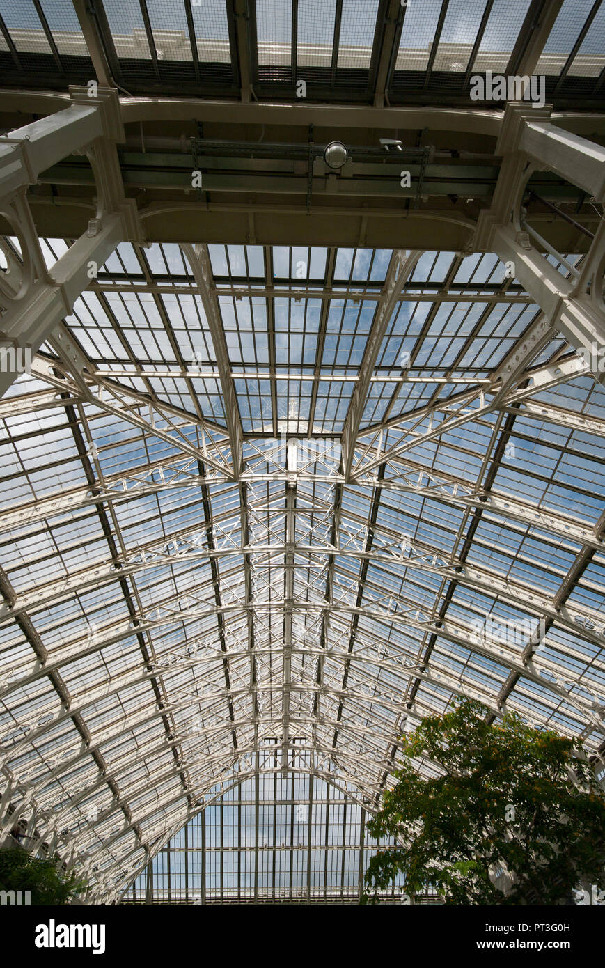 The Glass and Metal Roof Structure Of The Temperate House in The Royal ...