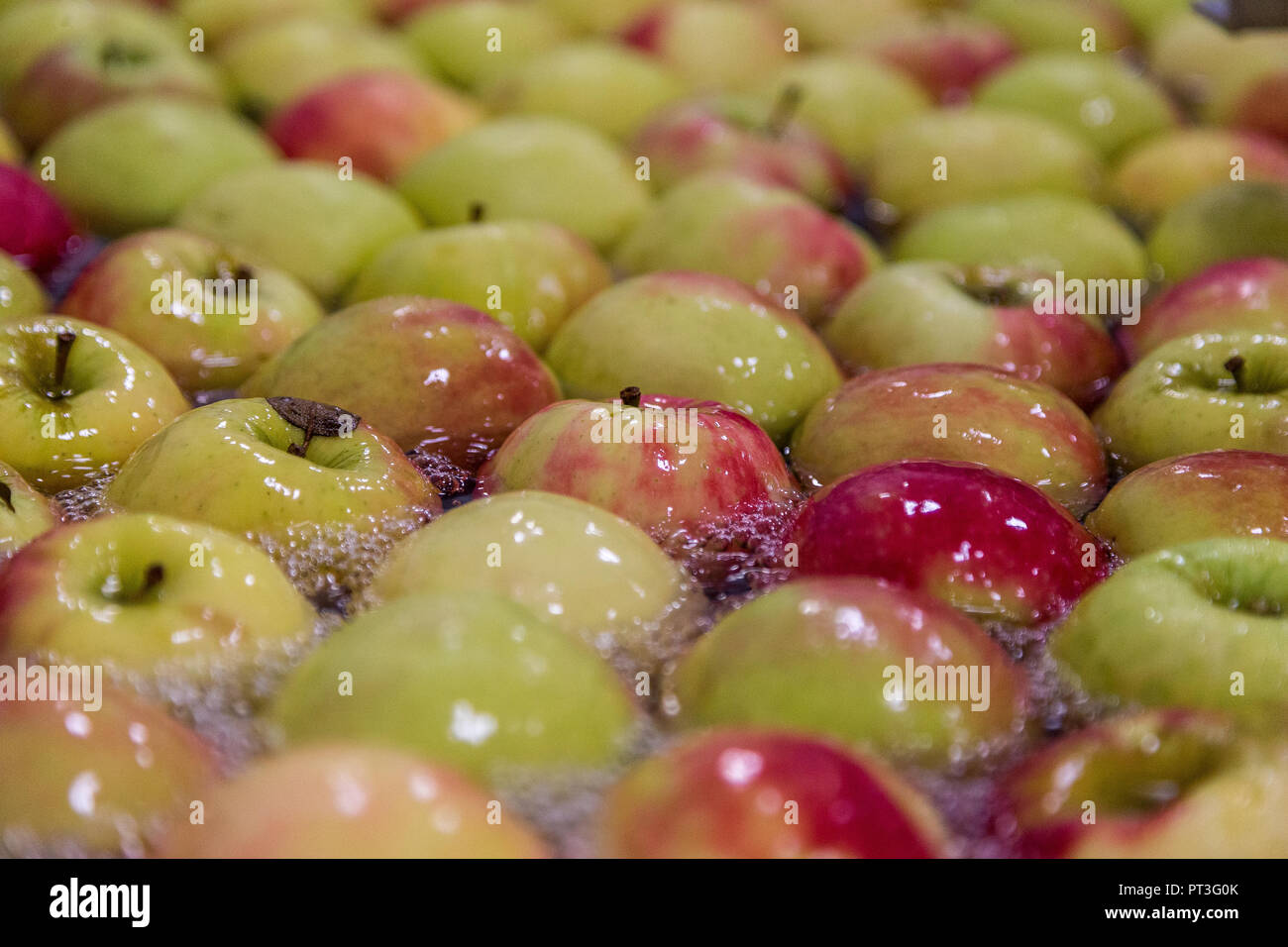 Industrial production of apples hi-res stock photography and images - Alamy