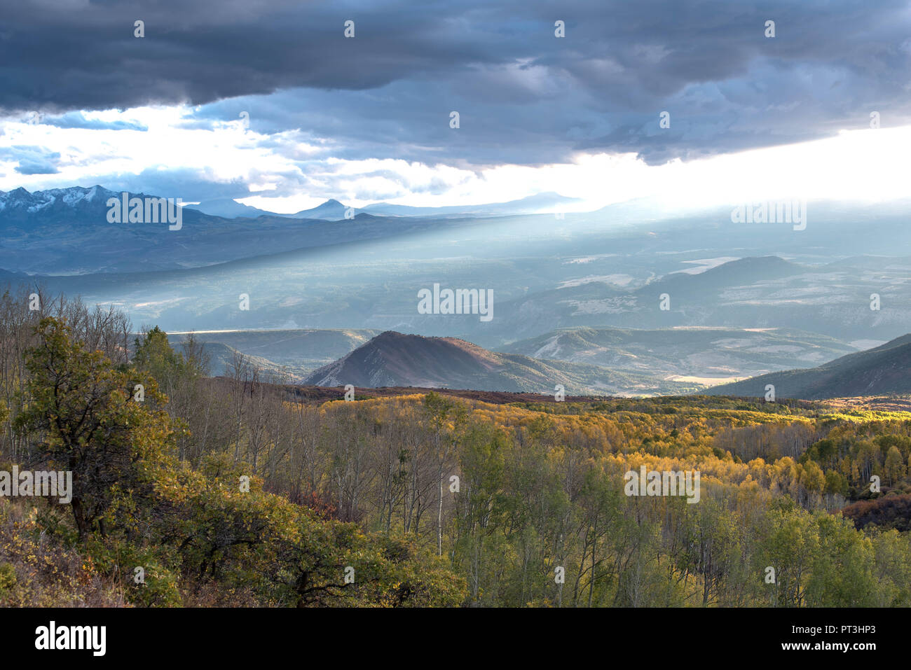 Colorado Sunset Splashes Autumn Color on Groves of Aspen Trees Stock ...