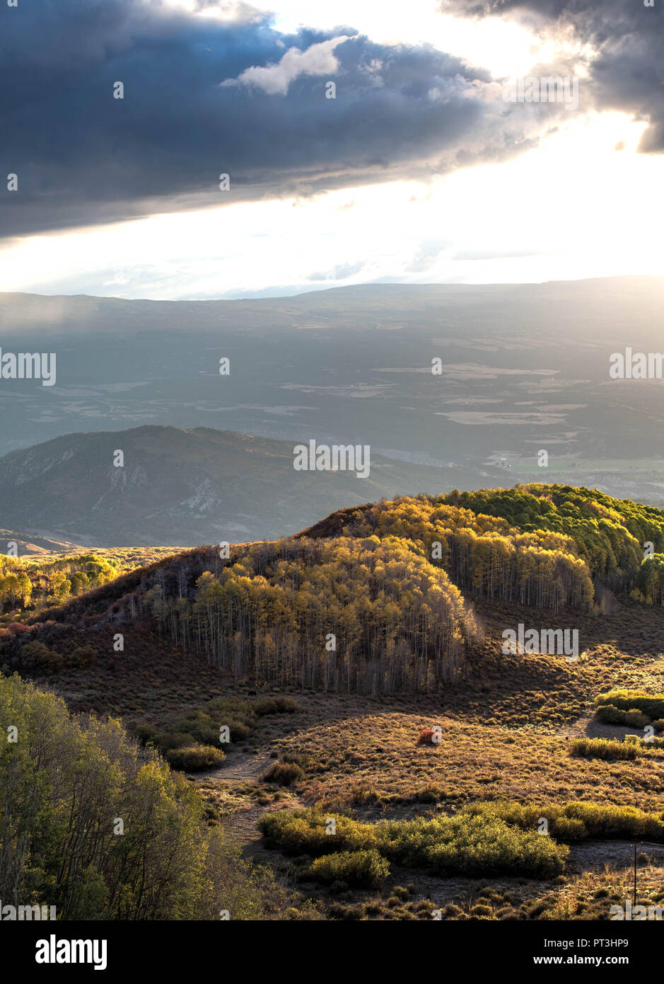 Colorado Sunset Splashes Autumn Color on Groves of Aspen Trees Stock ...