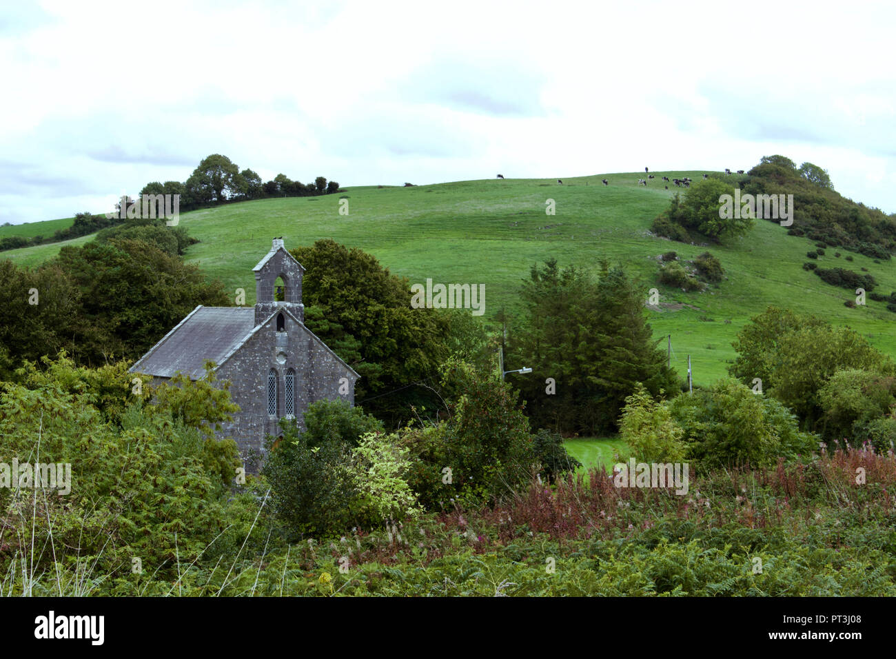 Modern Irish countryside landscape with trees, church and green ...