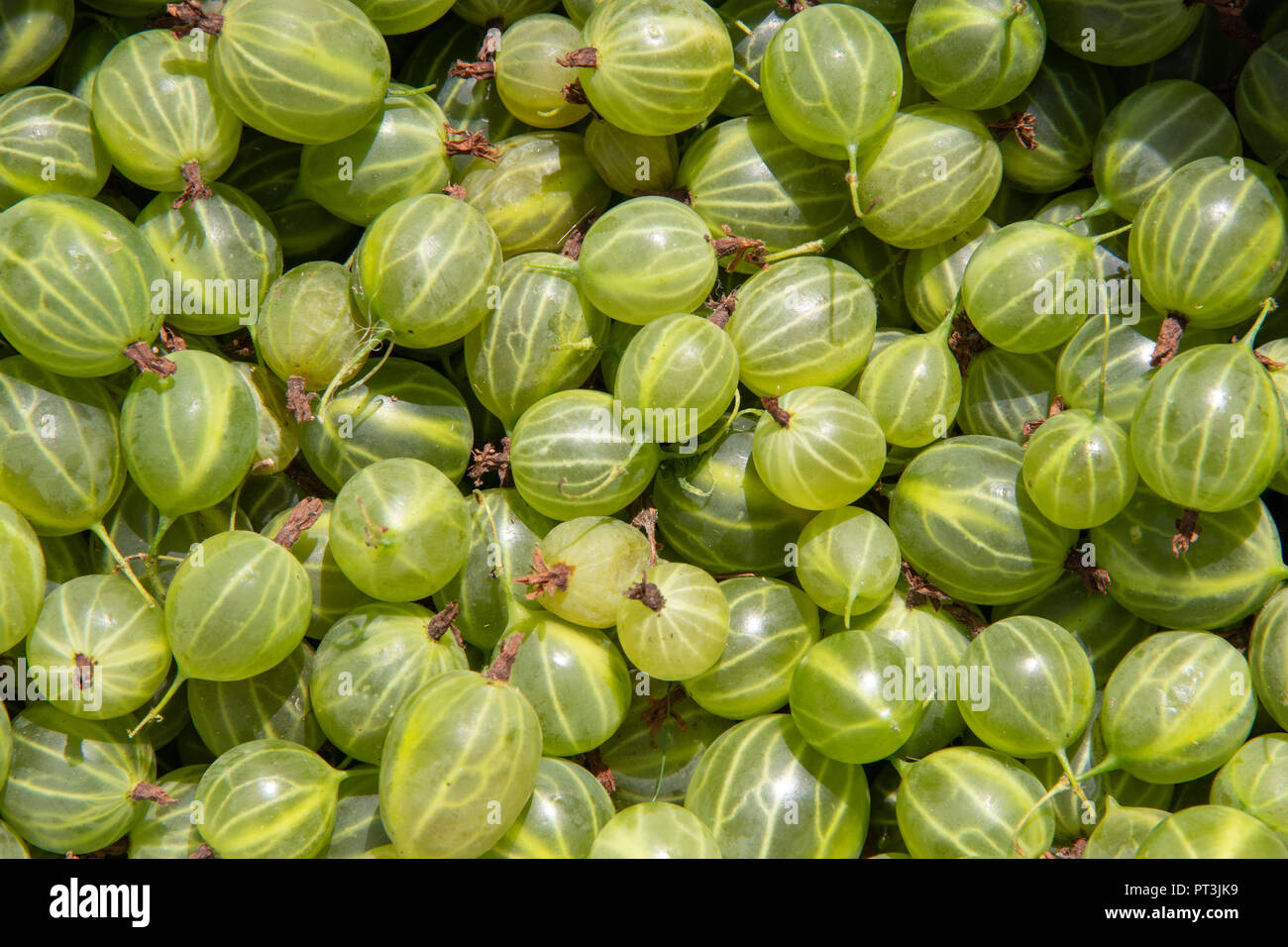 Kind lady hi-res stock photography and images - Alamy