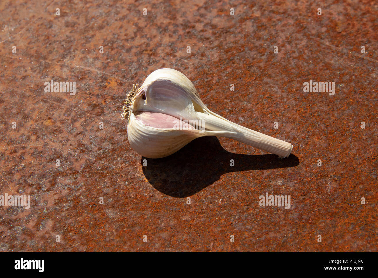 Garlic rust hi-res stock photography and images - Alamy