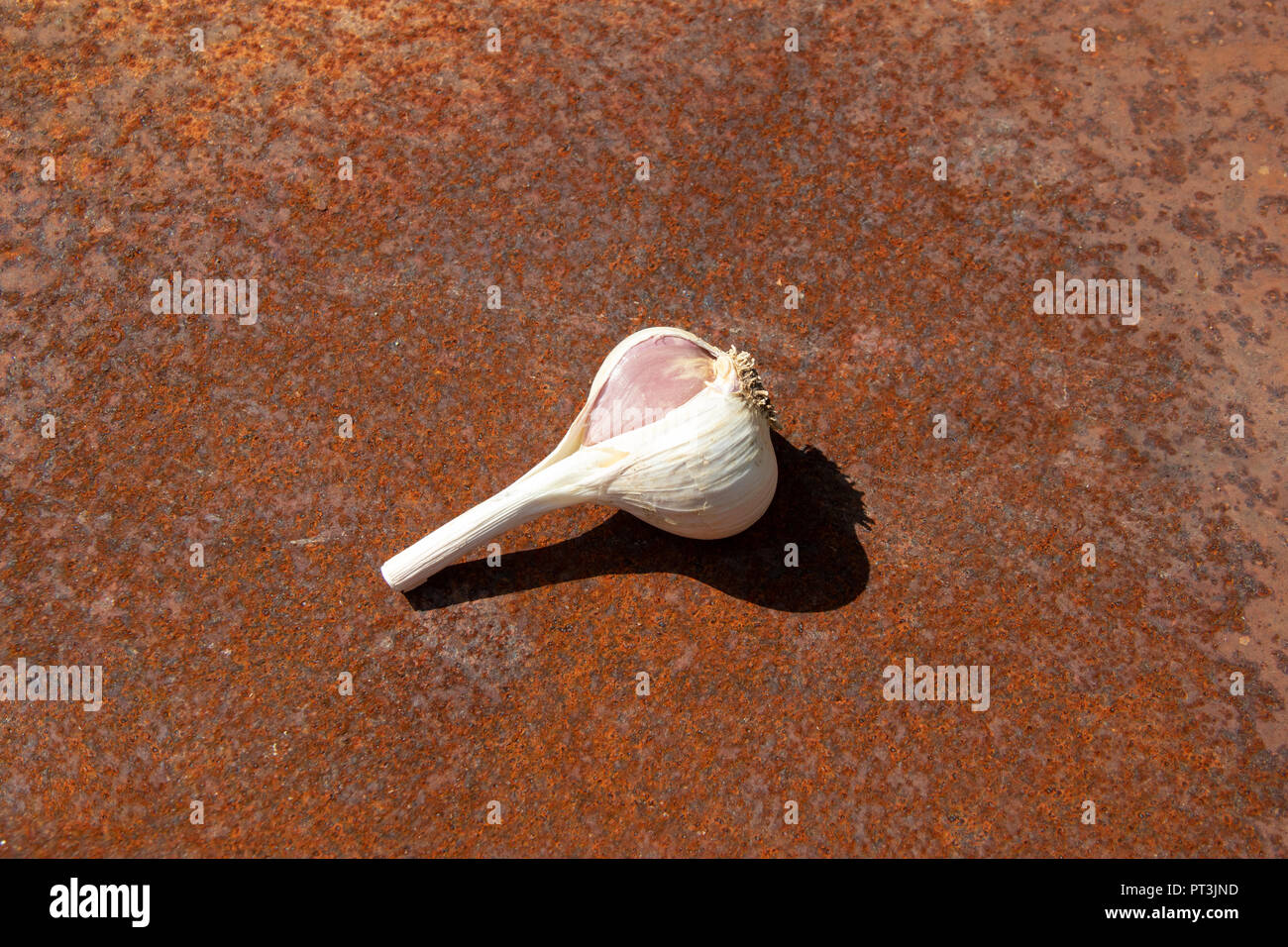 Garlic rust hi-res stock photography and images - Alamy