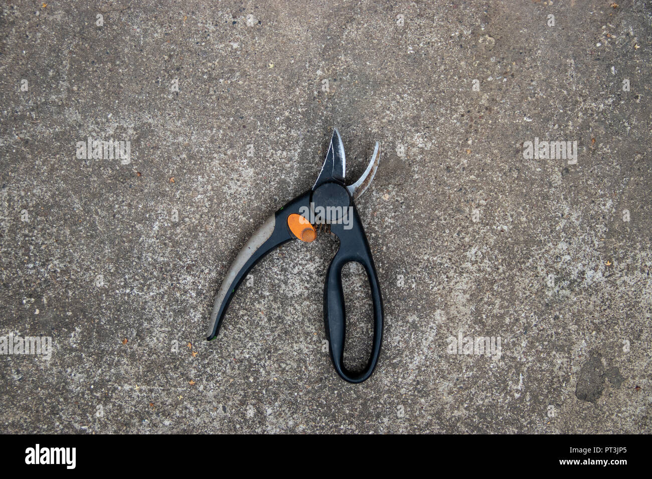 Garden tool pruner lays on cement floor background Stock Photo - Alamy