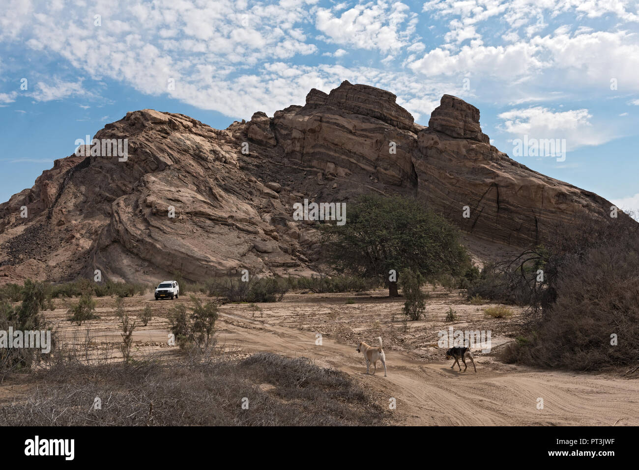 car on a sand road in the dry river bed of the swakop river east of ...