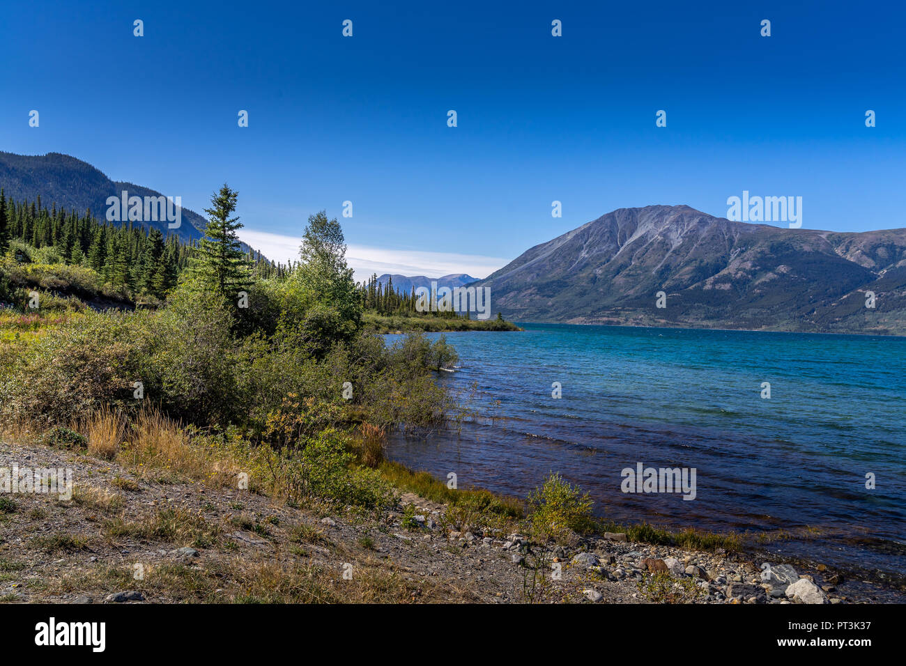 Beautiful scen of Benett Lake, beach in Carcross, Yukon Canada Stock ...