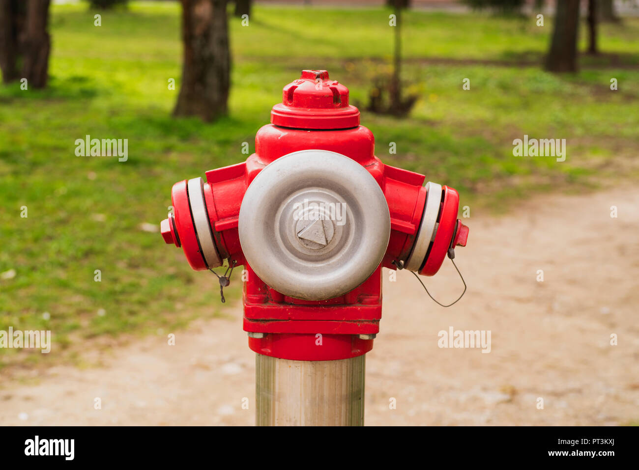 Red fire hydrant on the street in the springtime.Red fire hydrant Stock ...