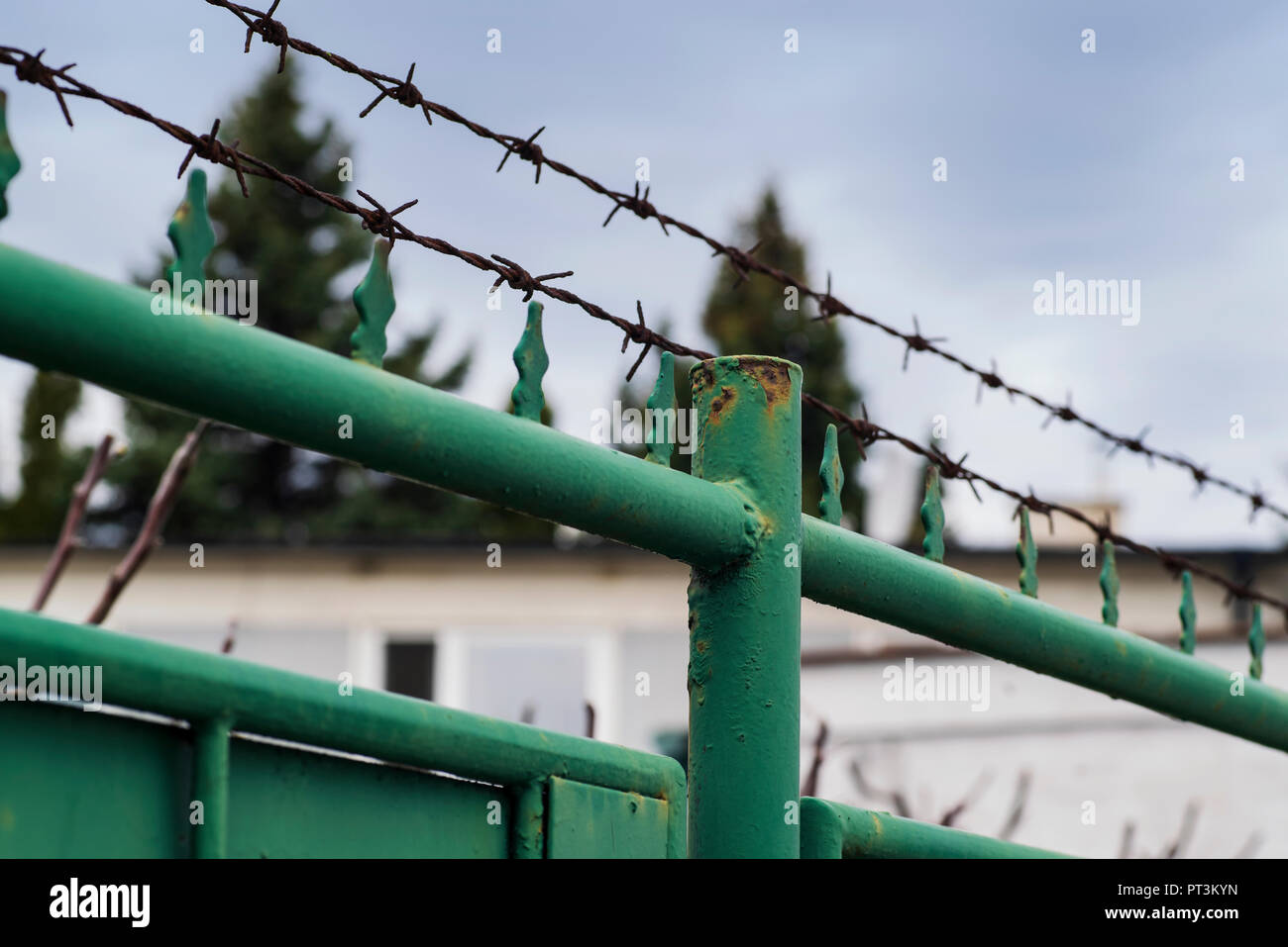 Green iron fence on it stretched barbed wire. The fence with barbed ...