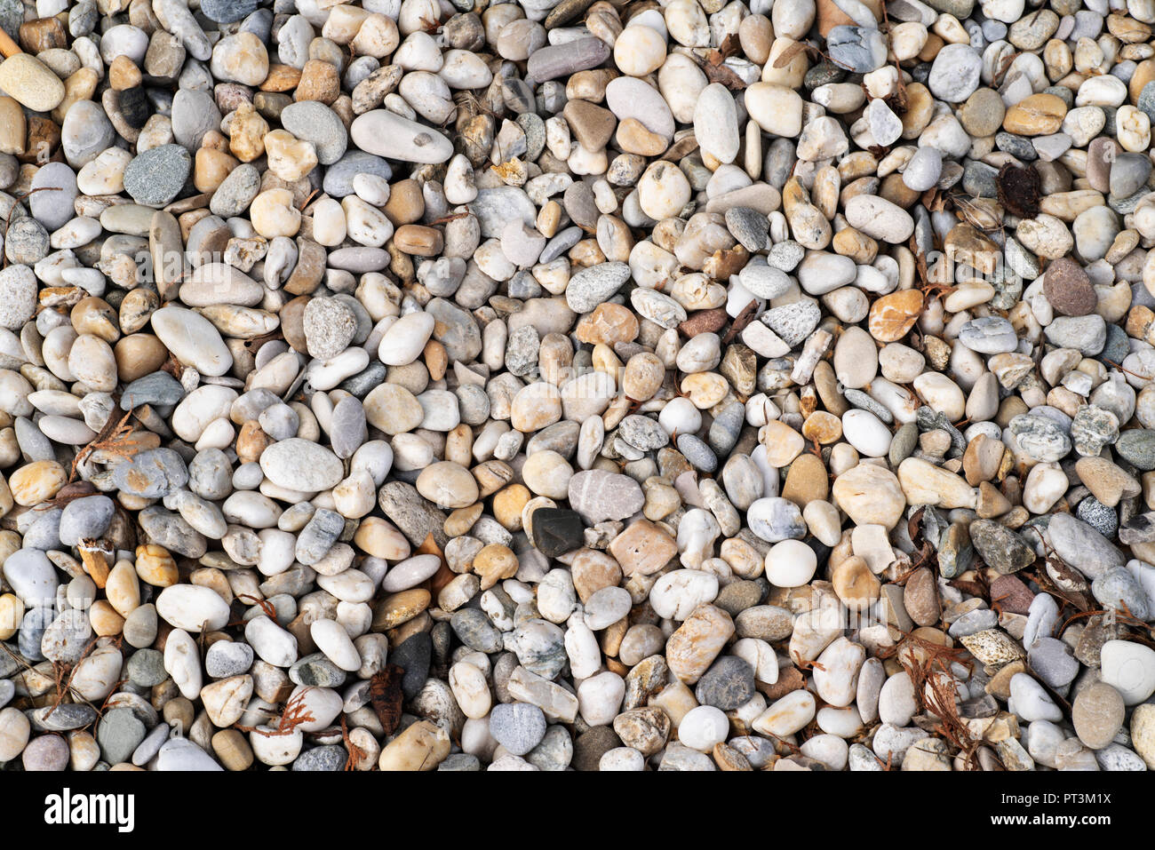 Natural sea stones closeup.vacation background Stock Photo - Alamy