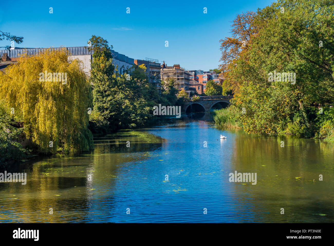 River leam, leamington spa hi-res stock photography and images - Alamy