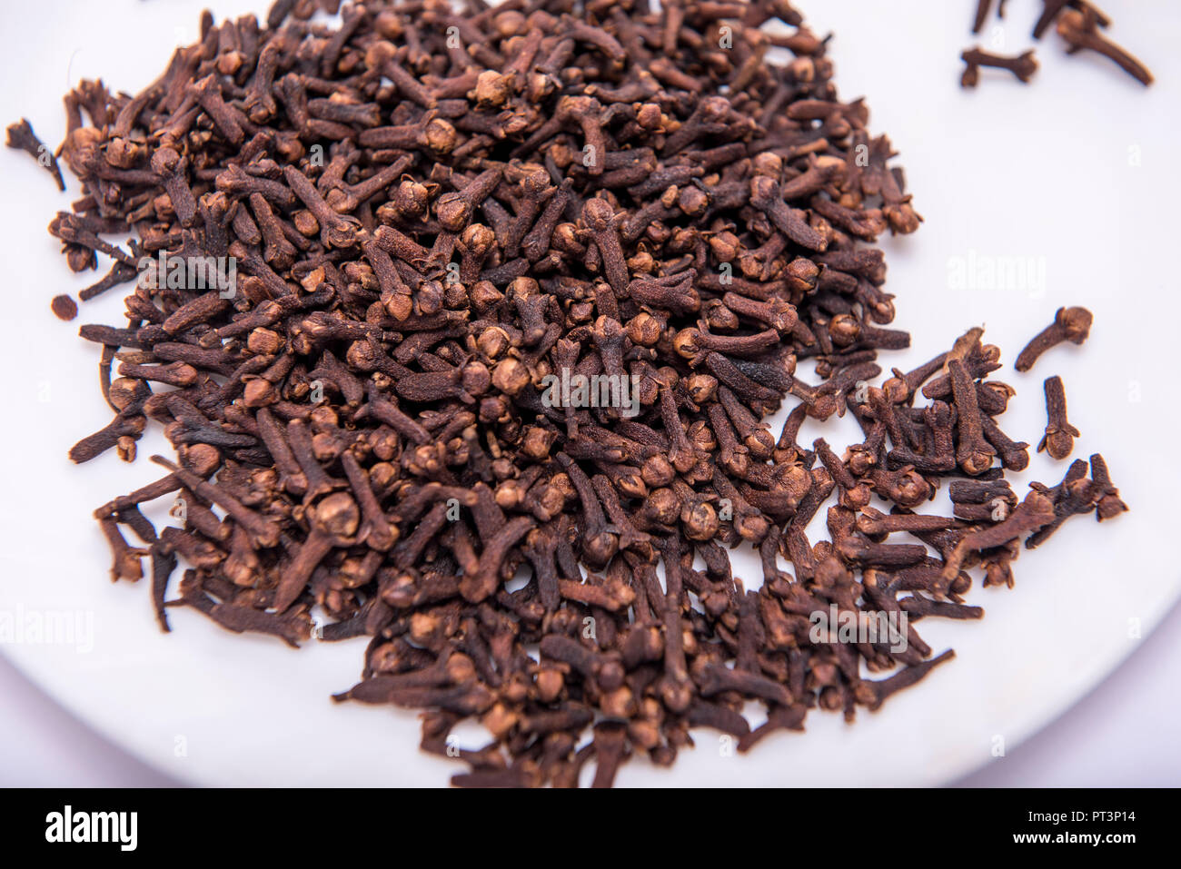 Cloves ( Laung ) Indian Spice are the aromatic flower buds of a tree ...