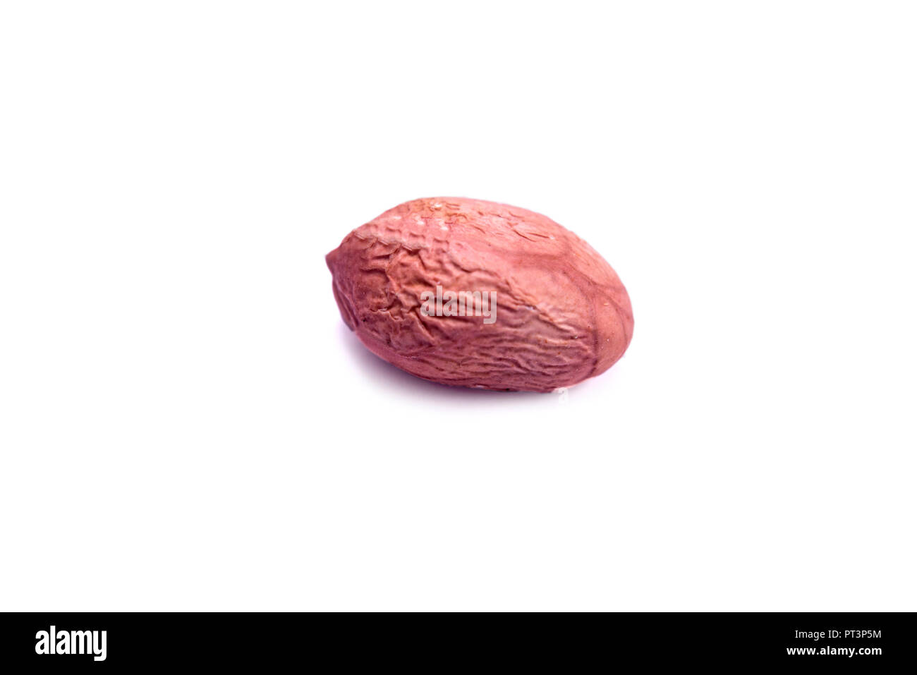 Closeup of peanut also known as the groundnut Isolated on White ...