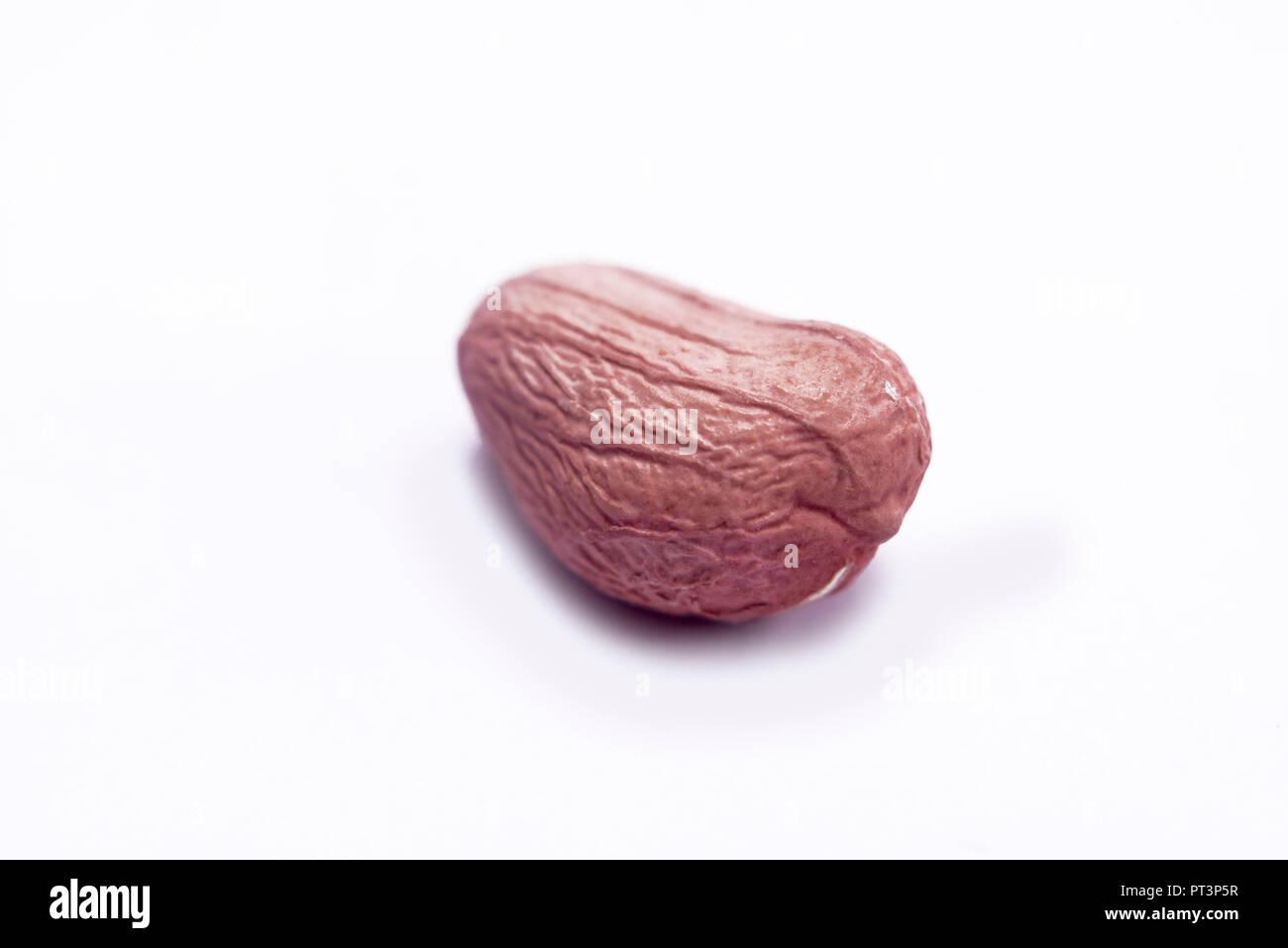 Closeup of peanut also known as the groundnut Isolated on White ...