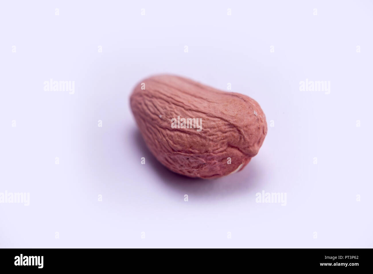 Closeup of peanut also known as the groundnut Isolated on White ...