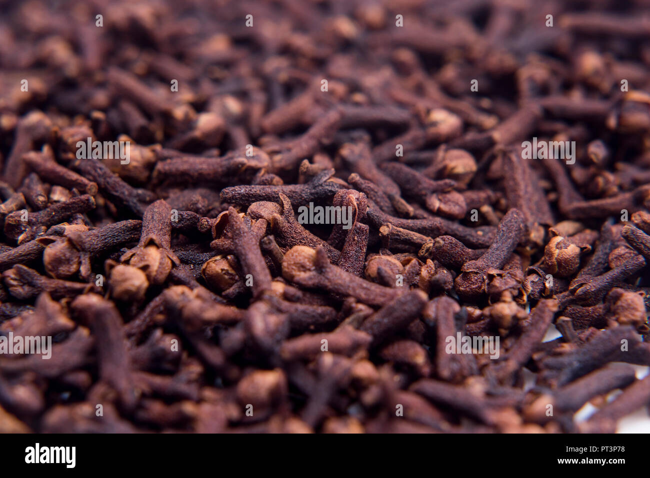 Cloves ( Laung ) Indian Spice are the aromatic flower buds of a tree ...