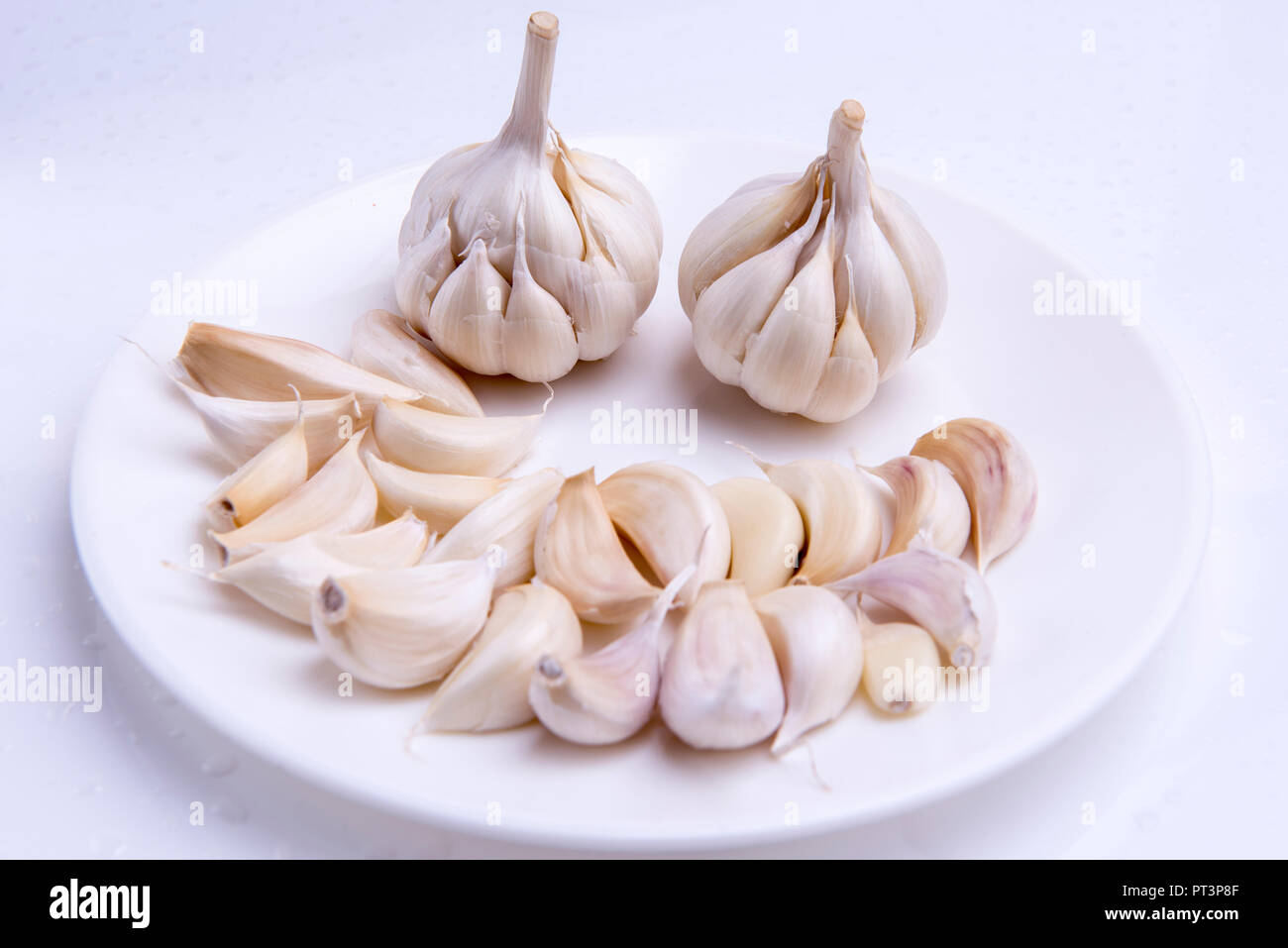 Garlic(Lehsun) (scientific name Allium sativum) is a species in the ...