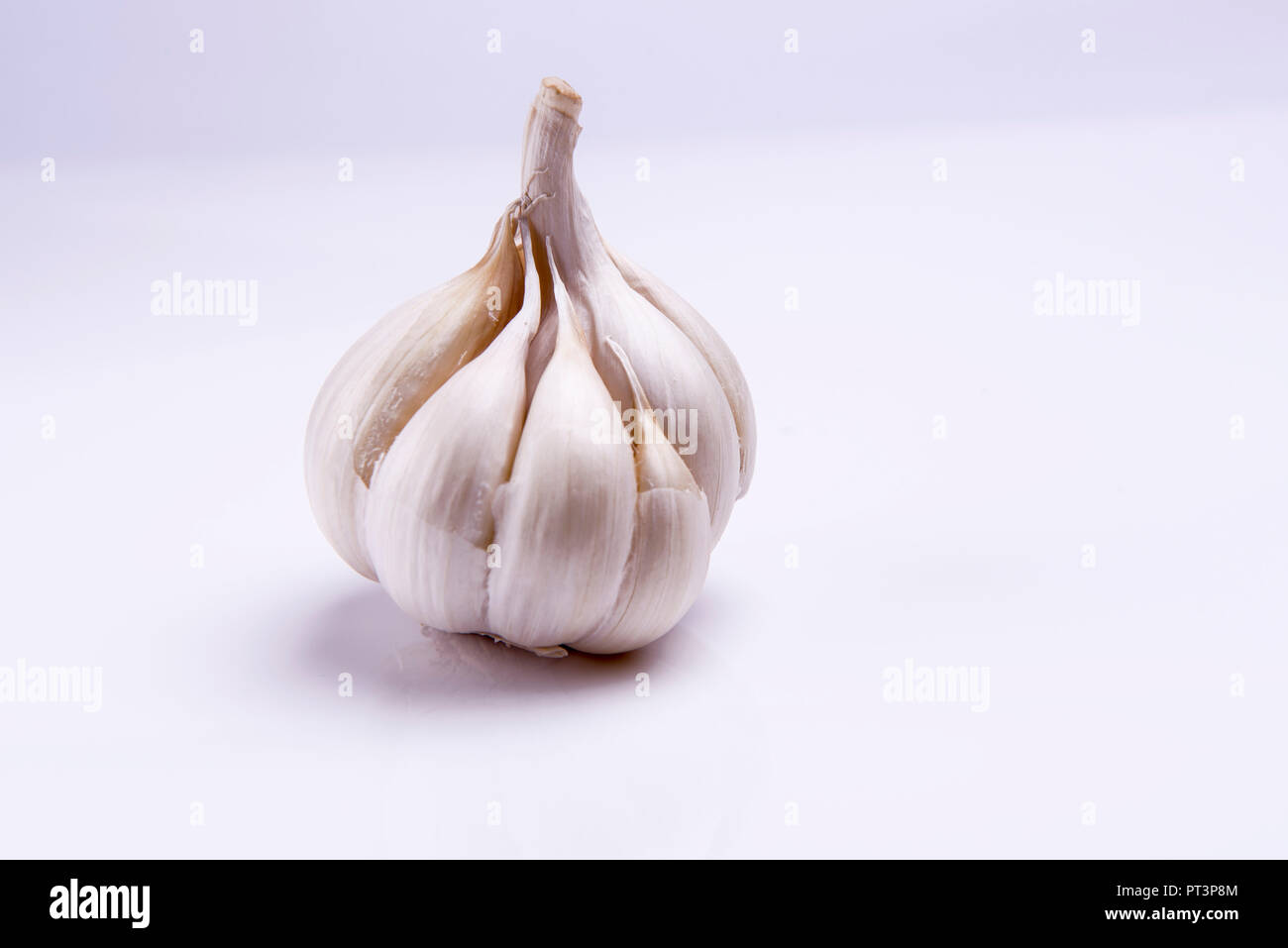 Garlic(Lehsun) (scientific name Allium sativum) is a species in the ...