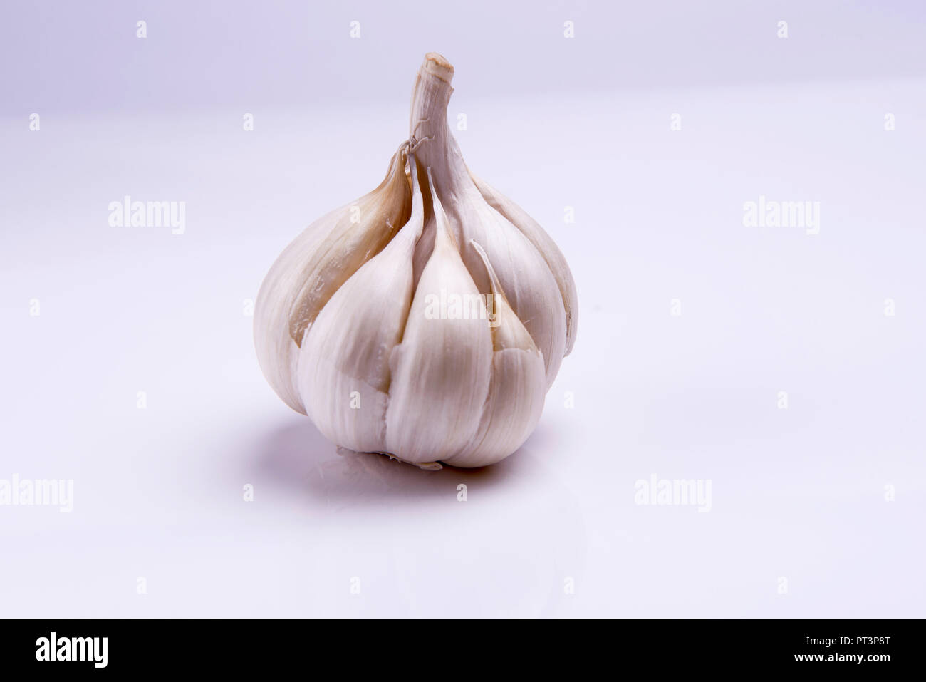 Garlic(Lehsun) (scientific name Allium sativum) is a species in the ...