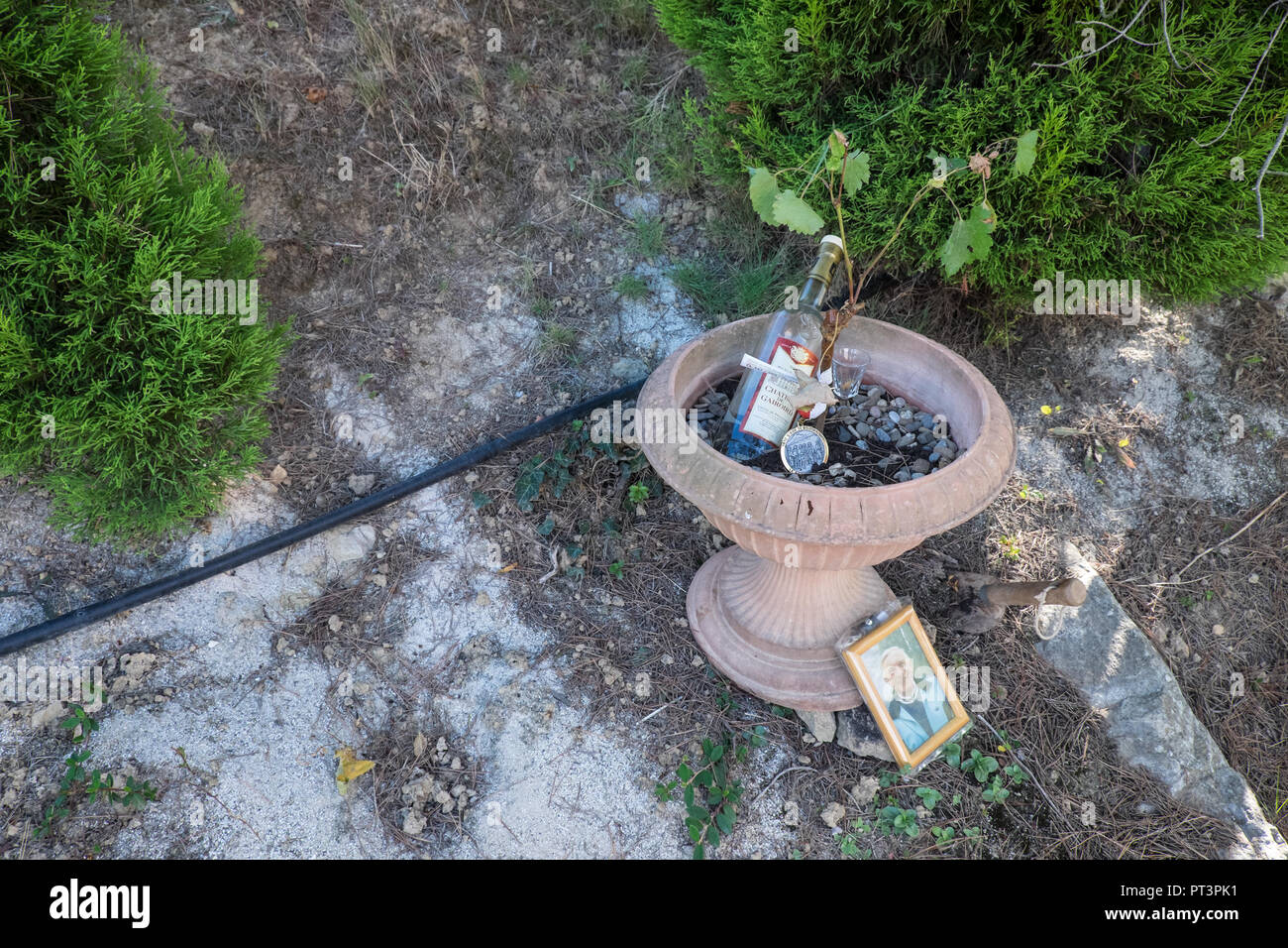 Human ashes hi-res stock photography and images - Alamy