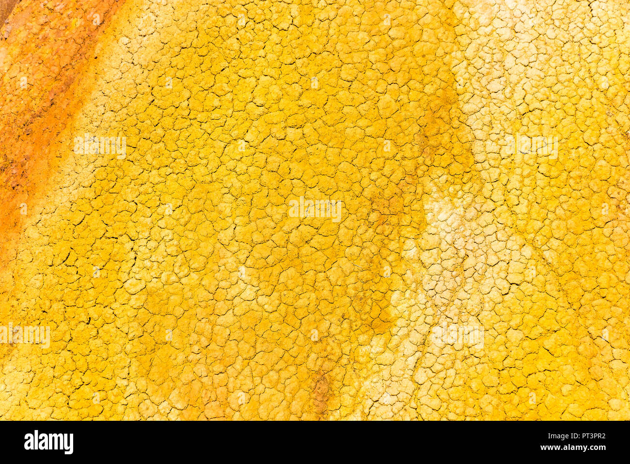 Bright beautiful texture of dry ground in the sunshine Stock Photo - Alamy