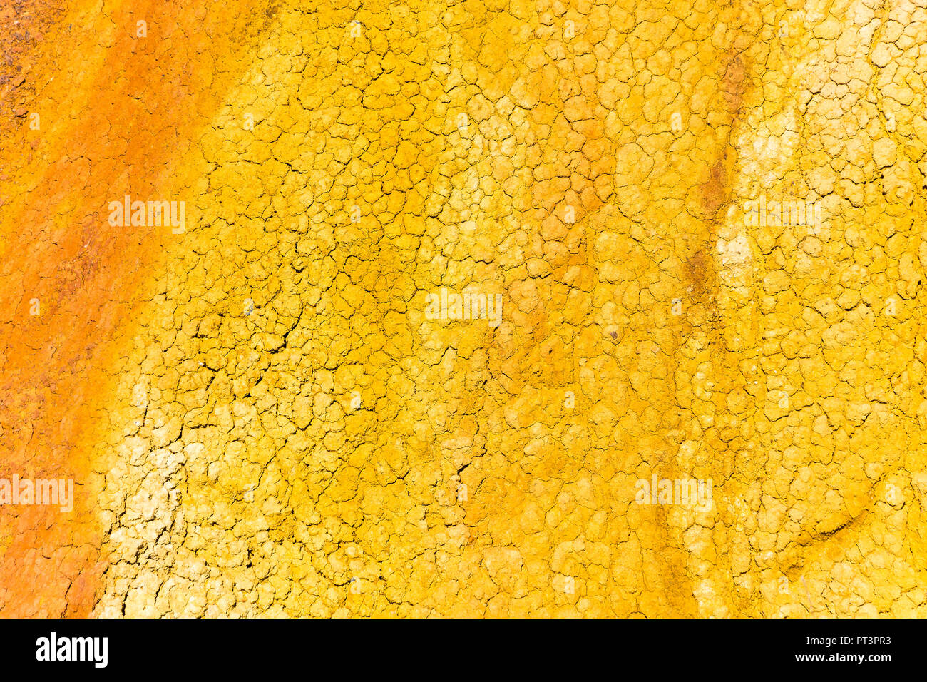 Bright beautiful texture of dry ground in the sunshine Stock Photo - Alamy