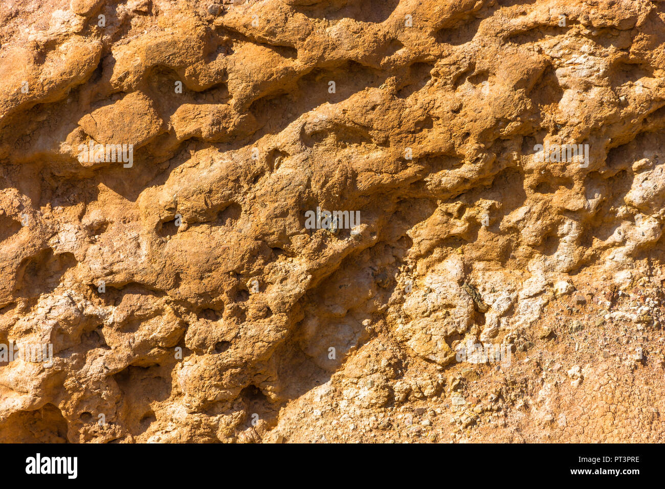 Bright beautiful texture of dry ground in the sunshine Stock Photo - Alamy
