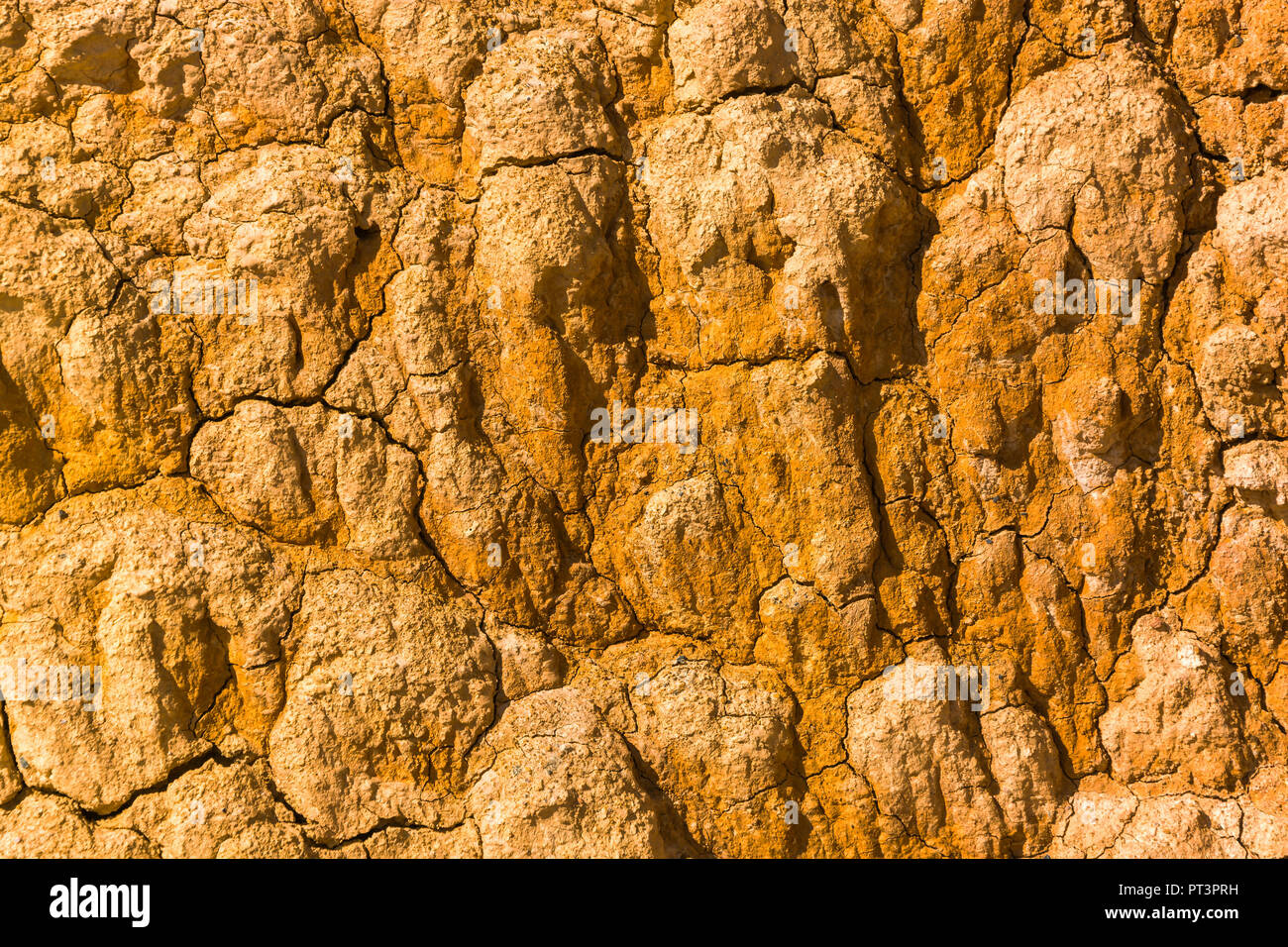 Bright beautiful texture of dry ground in the sunshine Stock Photo - Alamy