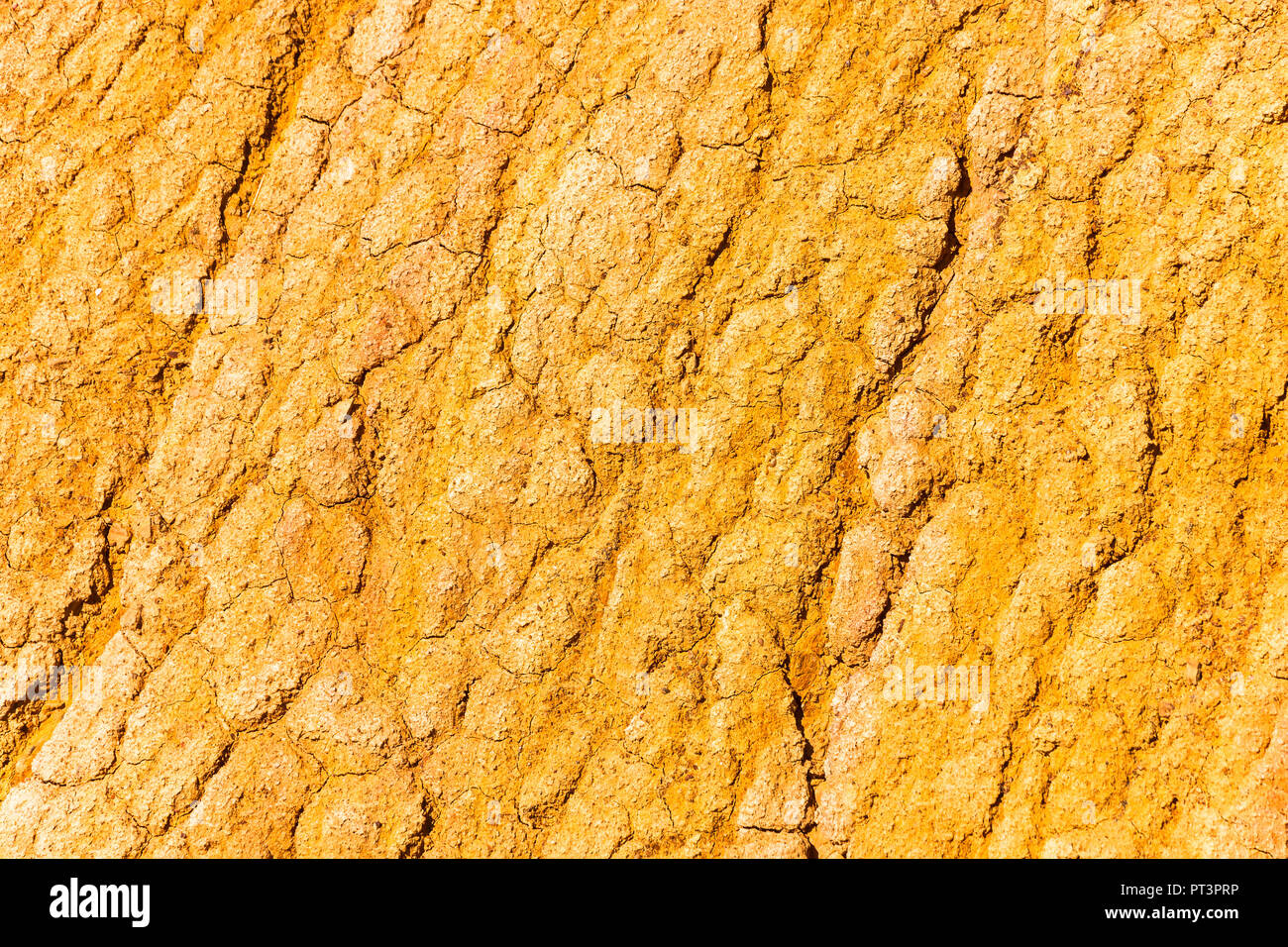 Bright beautiful texture of dry ground in the sunshine Stock Photo - Alamy