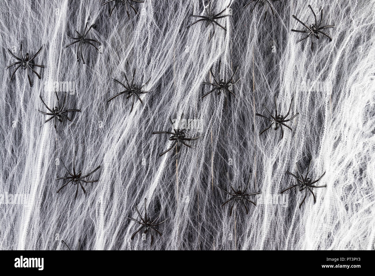Dense web with black spiders as a background on Halloween Stock Photo ...