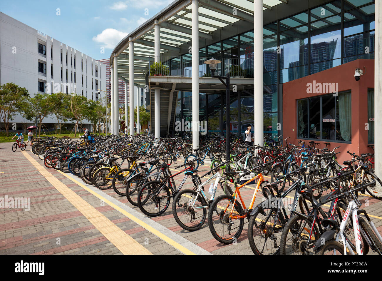 Bicycles parked in front of the canteen building. Southern University ...