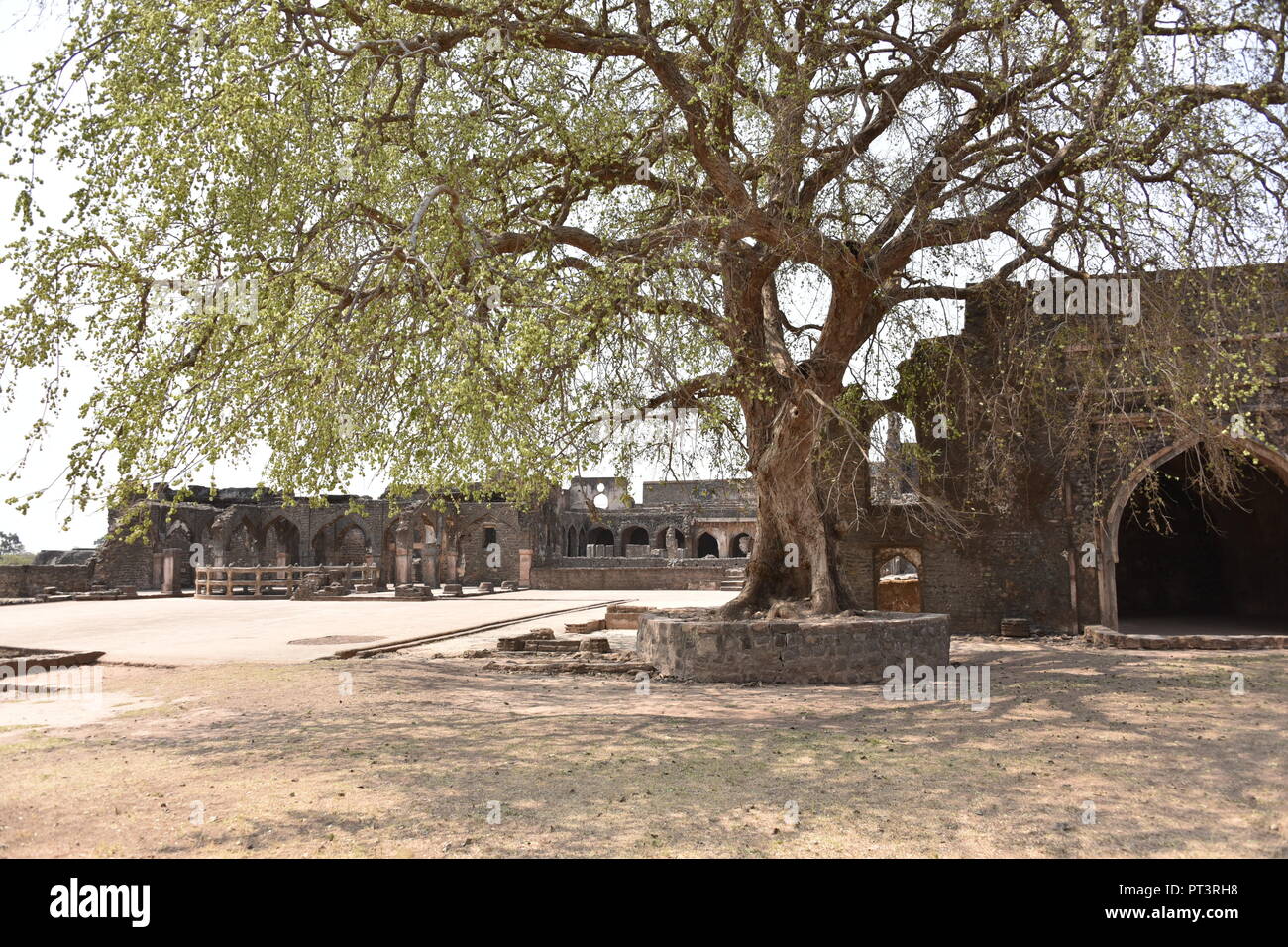 Champa india hi-res stock photography and images - Alamy