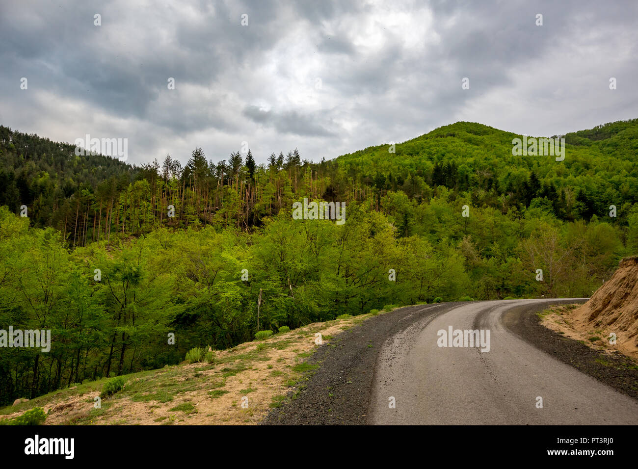 Personal perspective walking on forest hi-res stock photography and ...