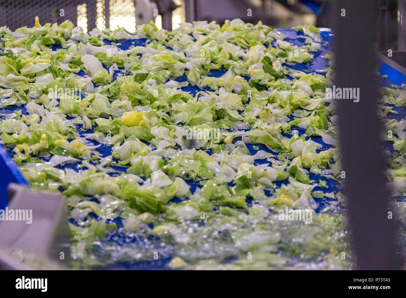 Food Production in the UK - Fruit, Vegetables, Prepared Salads, Healthy ...