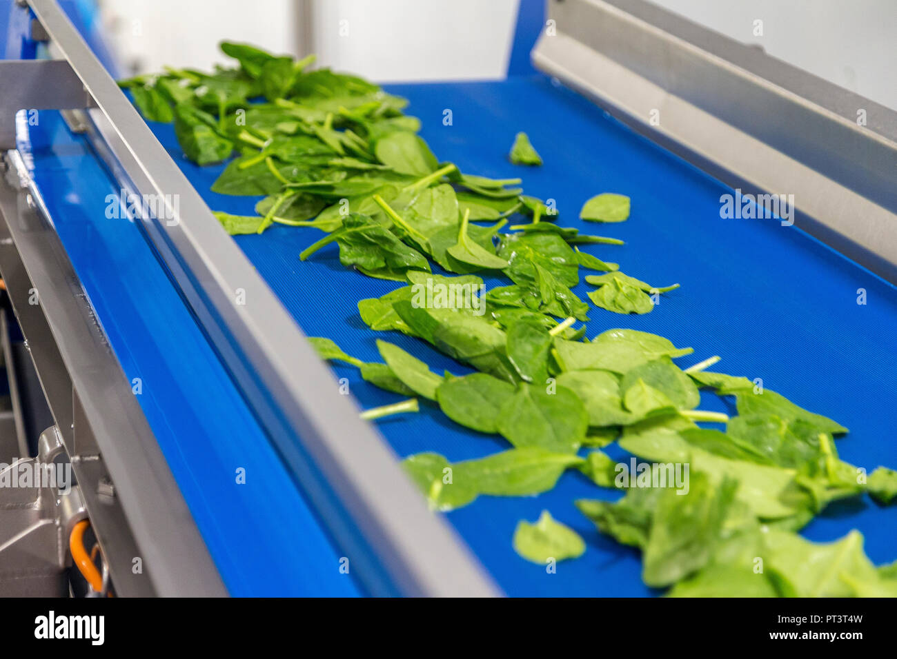 Food Production in the UK - Fruit, Vegetables, Prepared Salads, Healthy ...