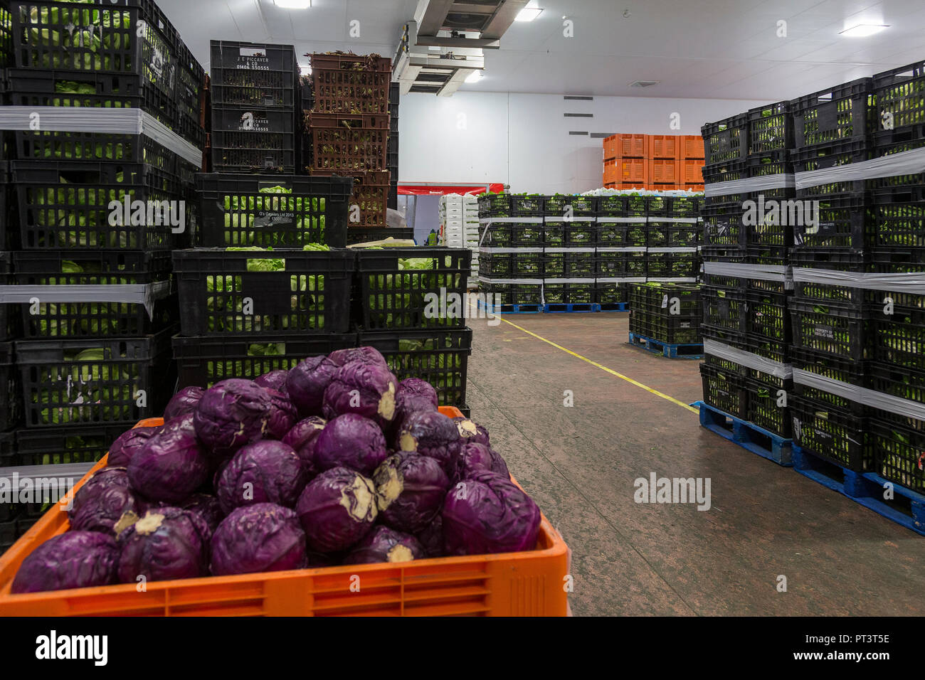 Food Production in the UK - Fruit, Vegetables, Prepared Salads, Healthy ...