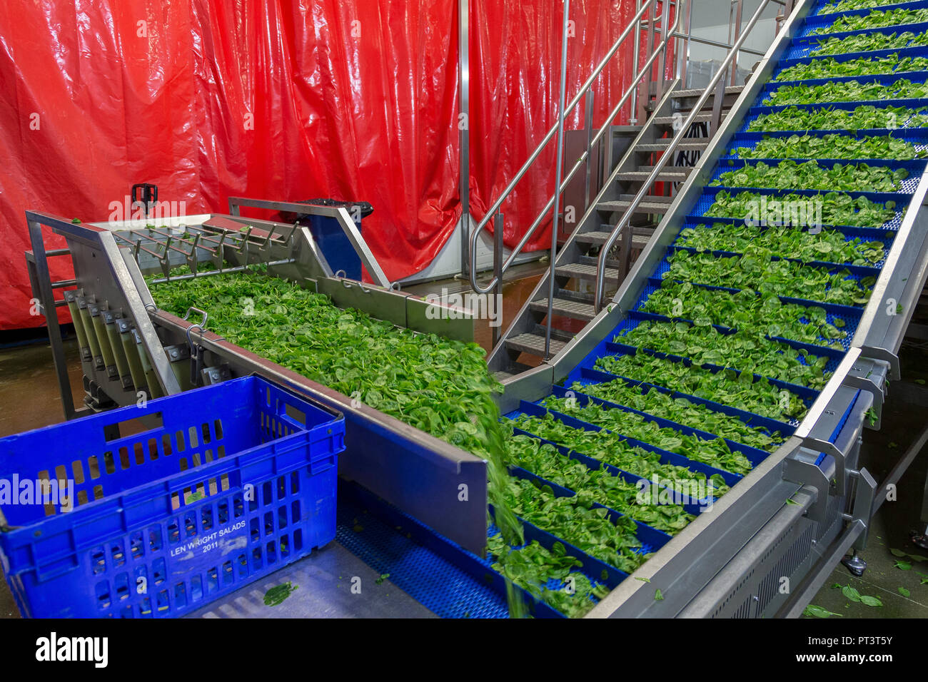 Food standards factory uk hi-res stock photography and images - Alamy