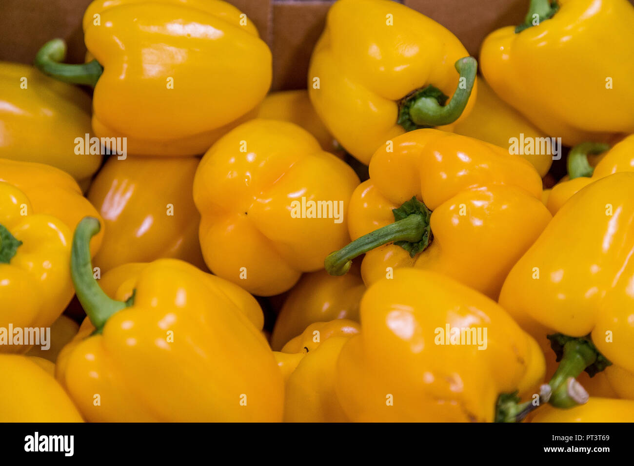 Food Production in the UK - Fruit, Vegetables, Prepared Salads, Healthy ...