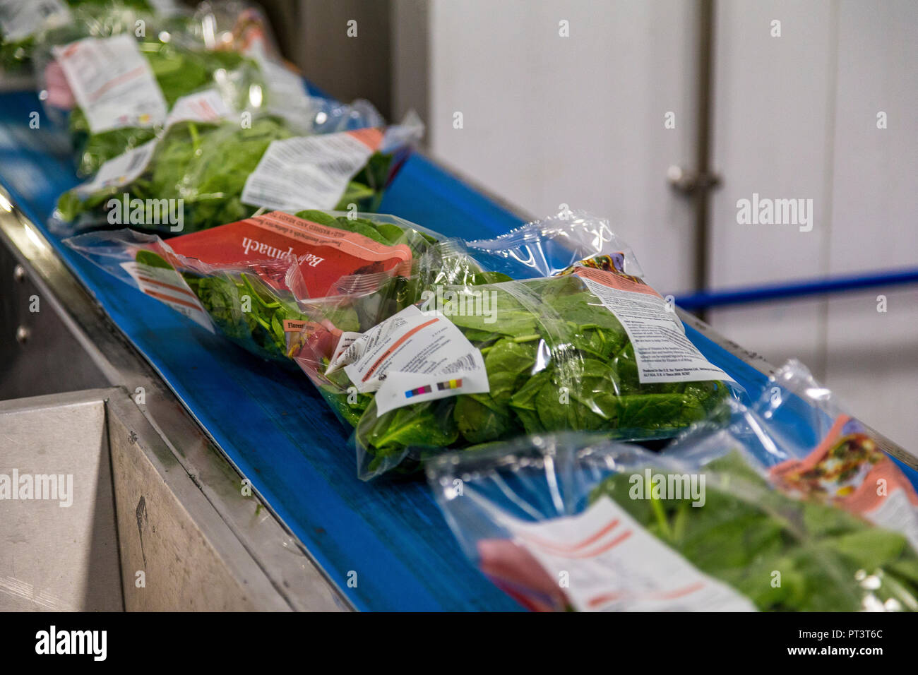 Food standards factory uk hi-res stock photography and images - Alamy