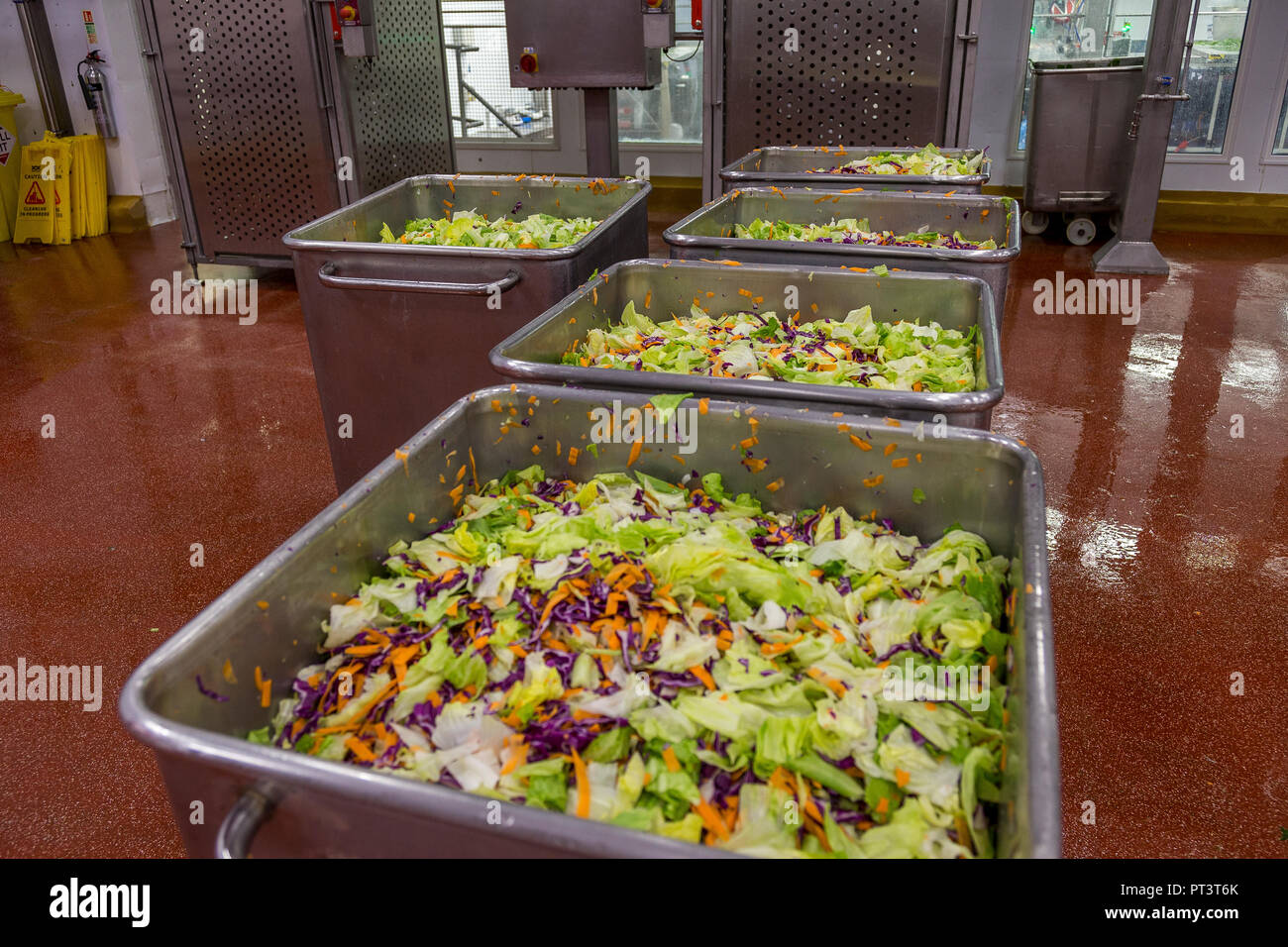 Food Production in the UK - Fruit, Vegetables, Prepared Salads, Healthy ...