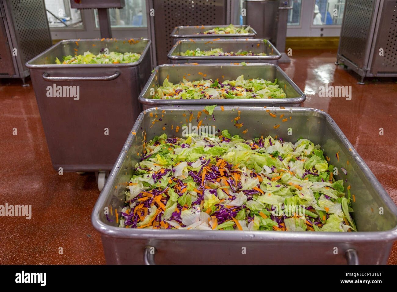 Food Production in the UK - Fruit, Vegetables, Prepared Salads, Healthy ...