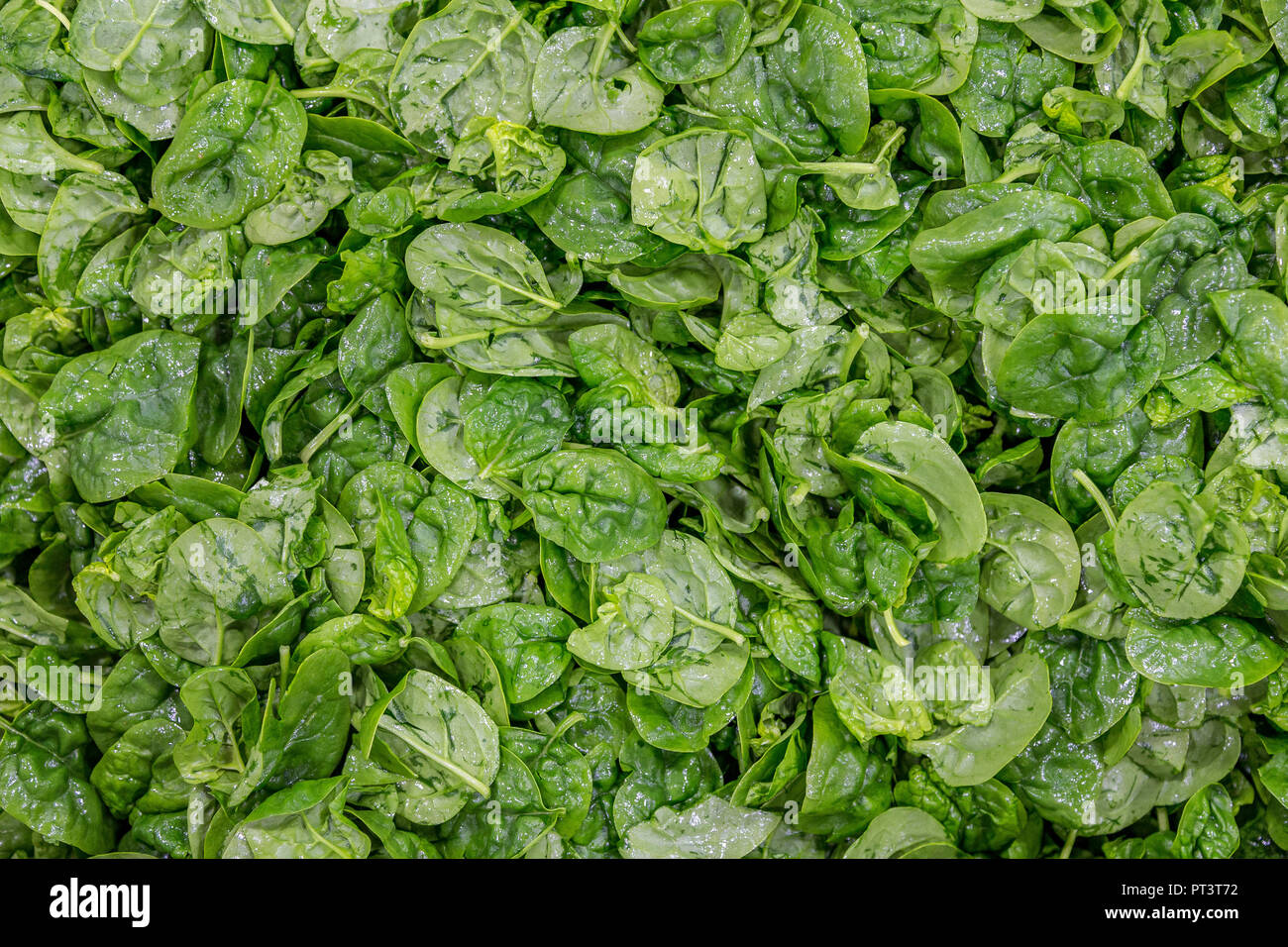 Food Production in the UK - Fruit, Vegetables, Prepared Salads, Healthy ...