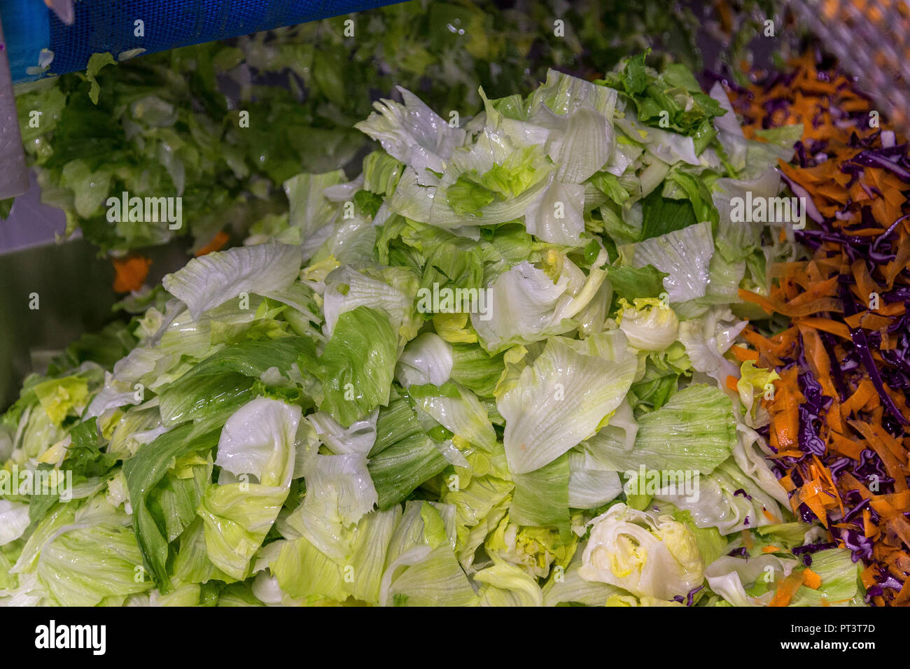 Food Production in the UK - Fruit, Vegetables, Prepared Salads, Healthy ...