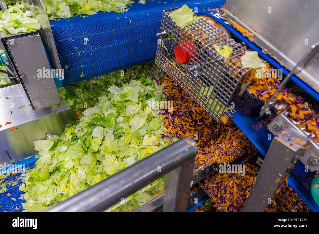 Food Production in the UK - Fruit, Vegetables, Prepared Salads, Healthy ...