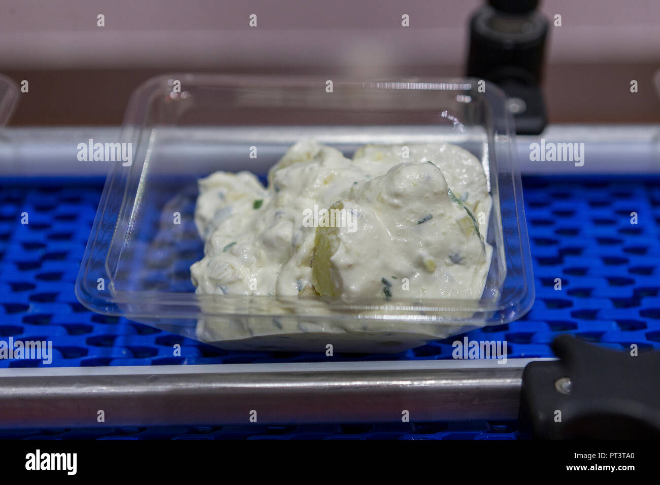 Food Production of Prepared Salads and Convenience Food in the UK Stock ...