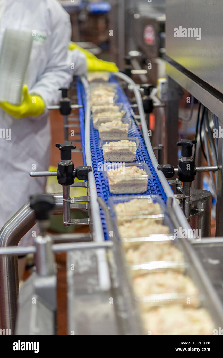 Food Production of Prepared Salads and Convenience Food in the UK Stock ...