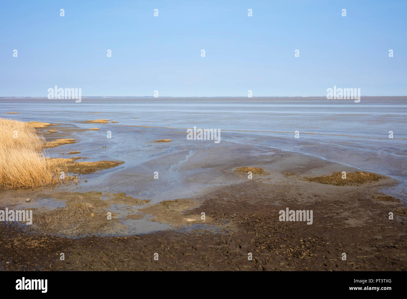 National park wadden sea, Morsum, Sylt, North Frisian Island, North ...