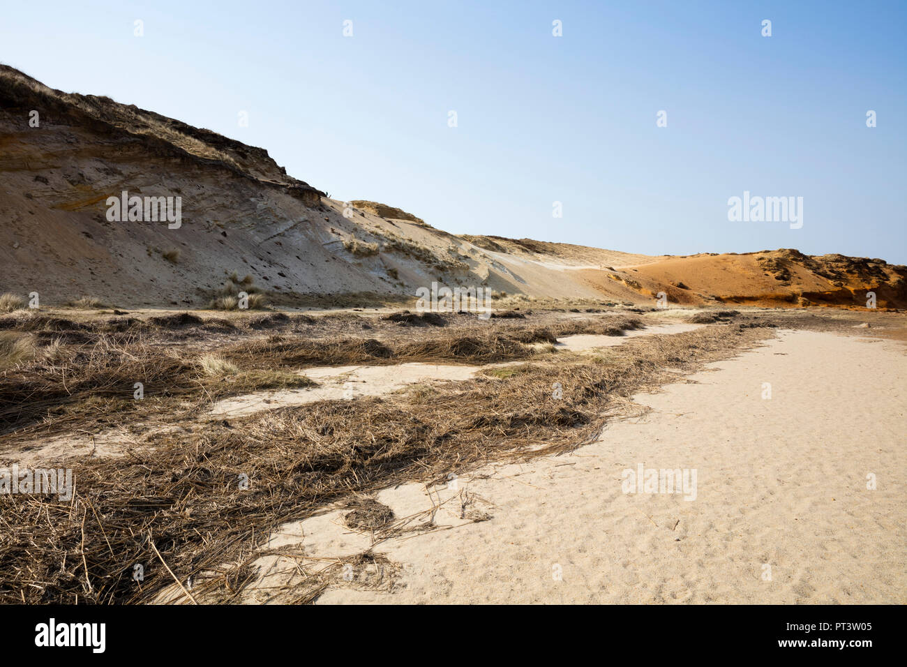Morsumer cliff, Sylt, North Frisian Island, North Frisia, Schleswig ...