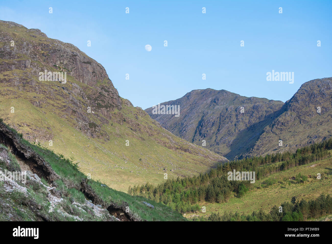 Loch Leven Wildlife High Resolution Stock Photography and Images - Alamy