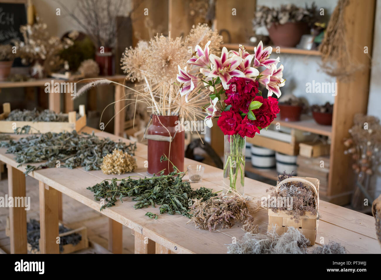 Rustic wooden table with various herbs and flowers in a bright room ...